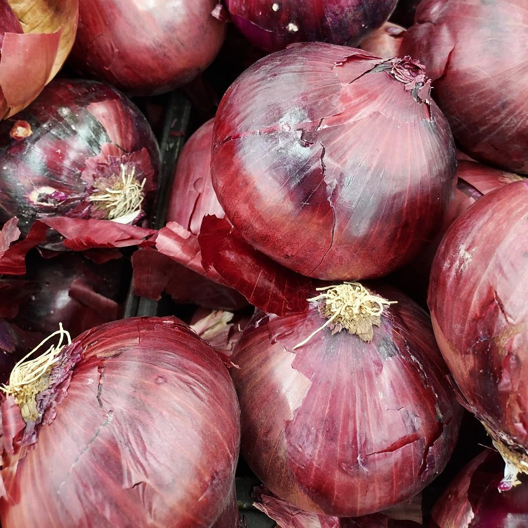 State Road Pizza (Pizza)